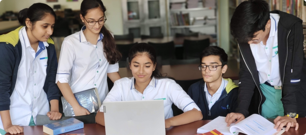 Cygnus International School